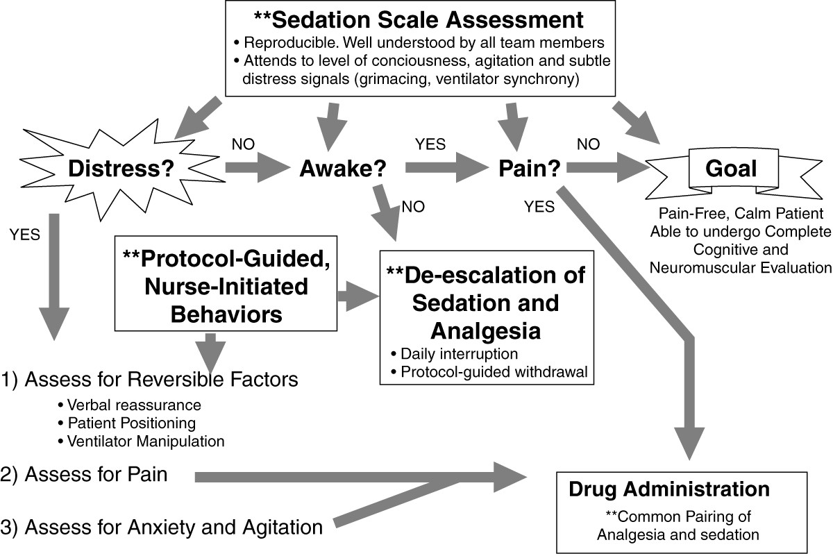 Strategies to optimize analgesia and sedation | Critical Care | Full Text