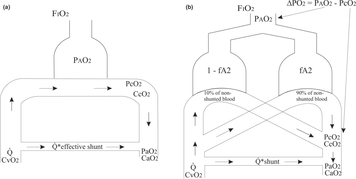 Variation in the PaO2/FiO2 ratio with FiO2: mathematical and ...
