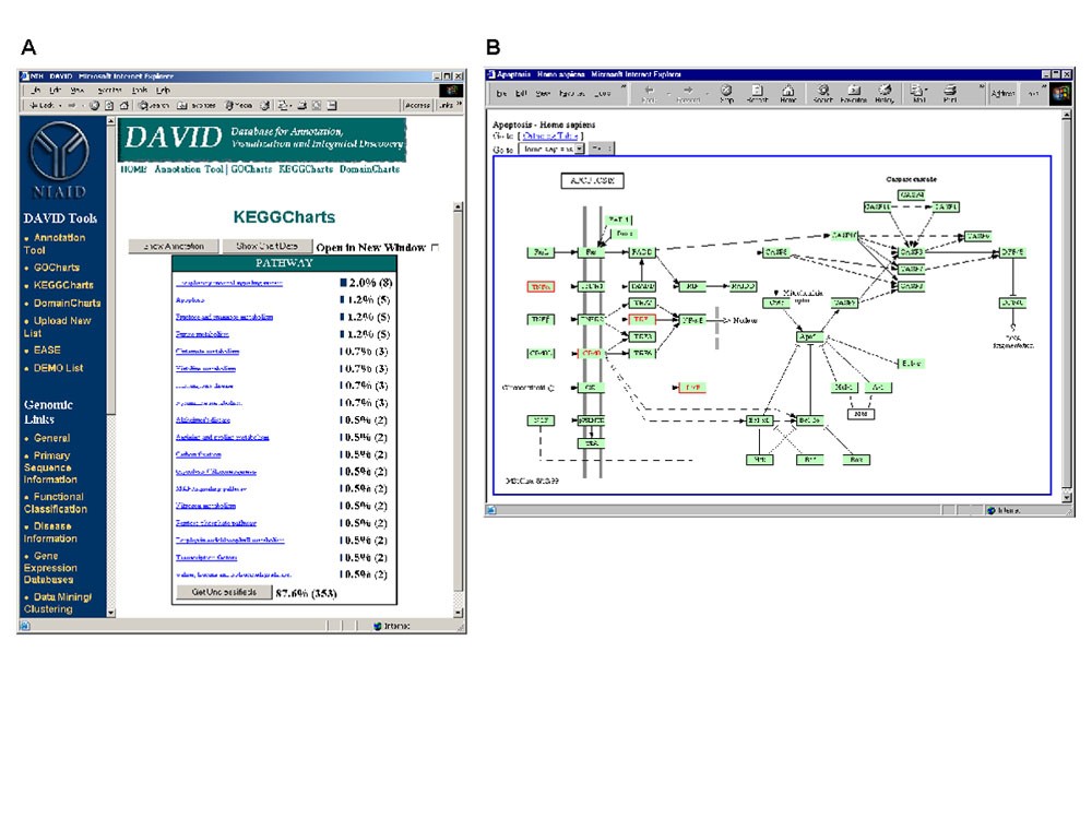 DAVID: Database for Annotation, Visualization, and Integrated Discovery ...