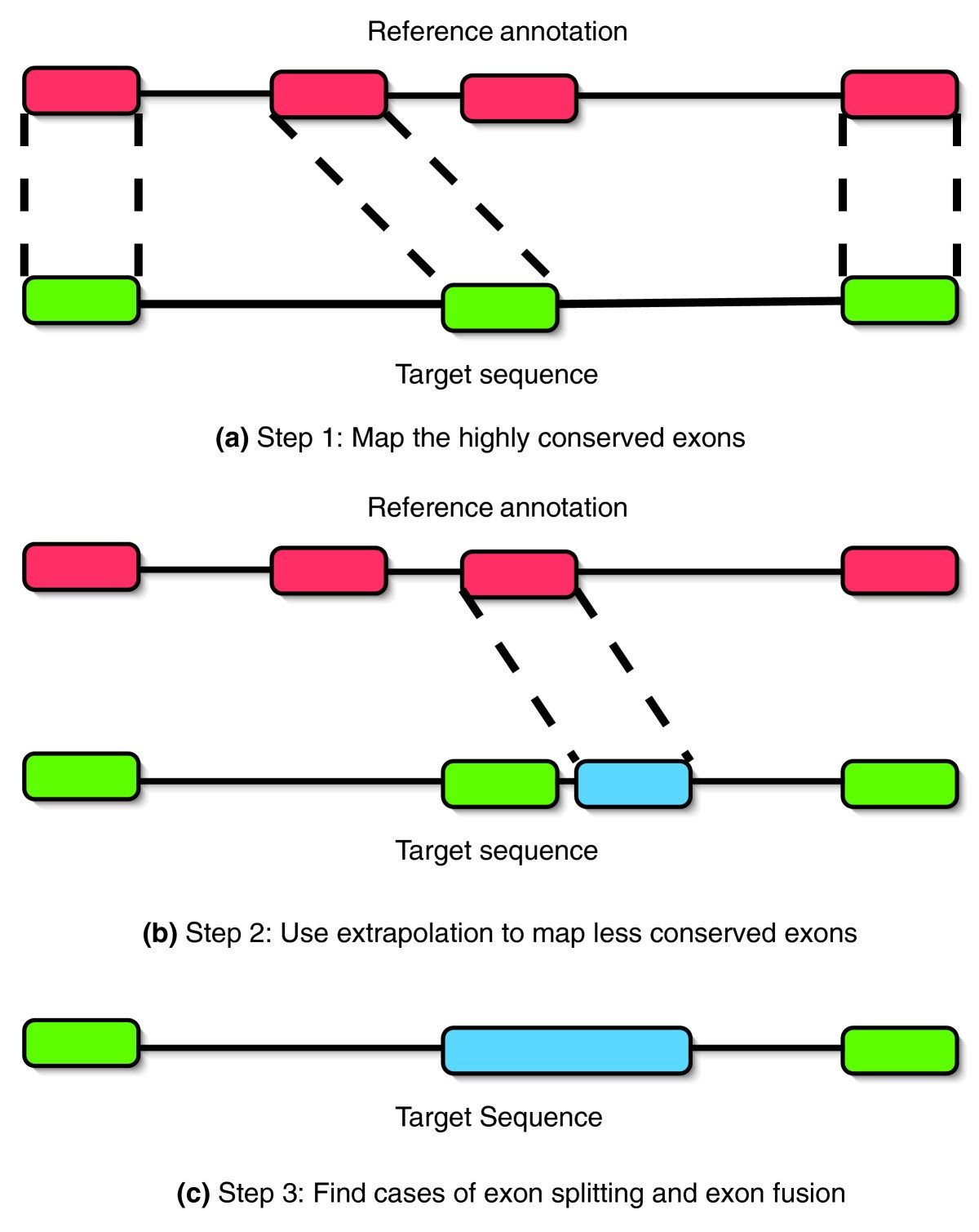 Reference based annotation with GeneMapper | Genome Biology | Full Text