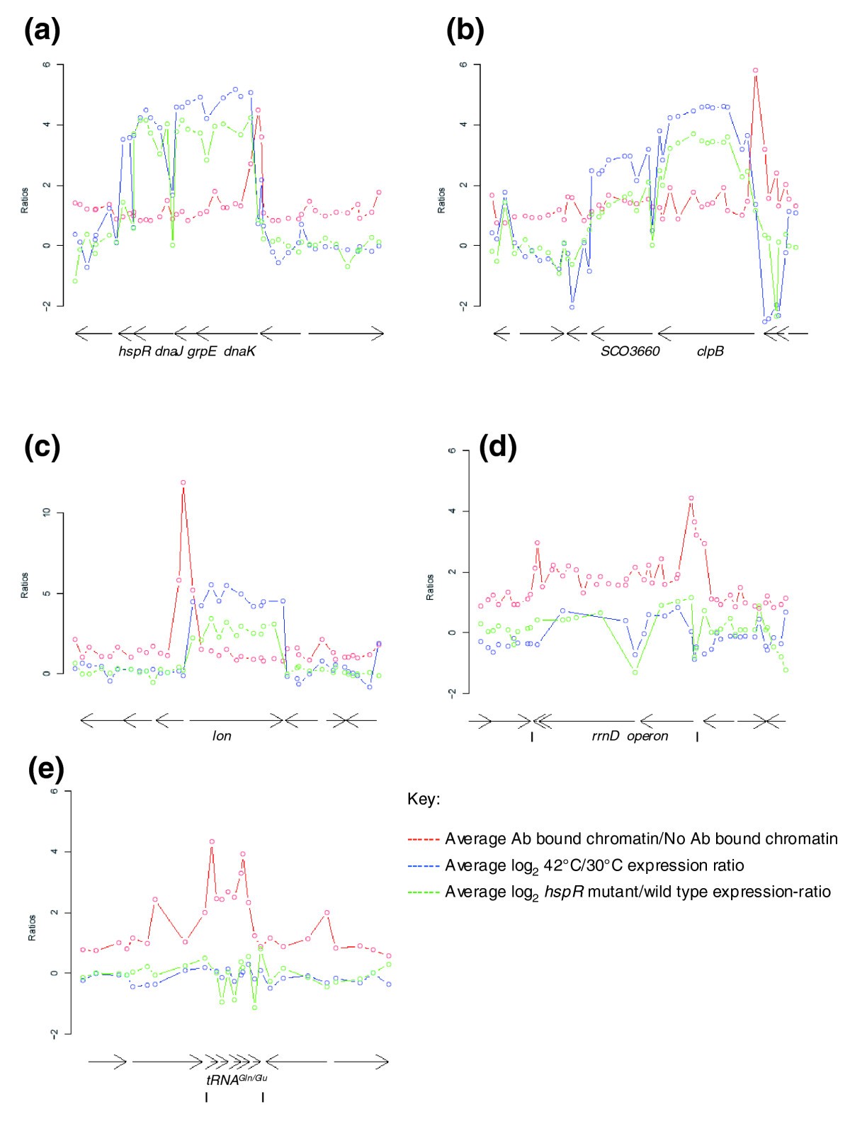 Development and application of versatile high density microarrays for ...
