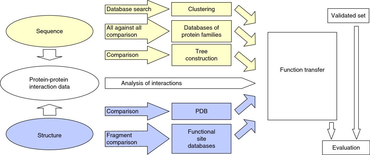 Protein function annotation by homology-based inference | Genome Biology | Full Text