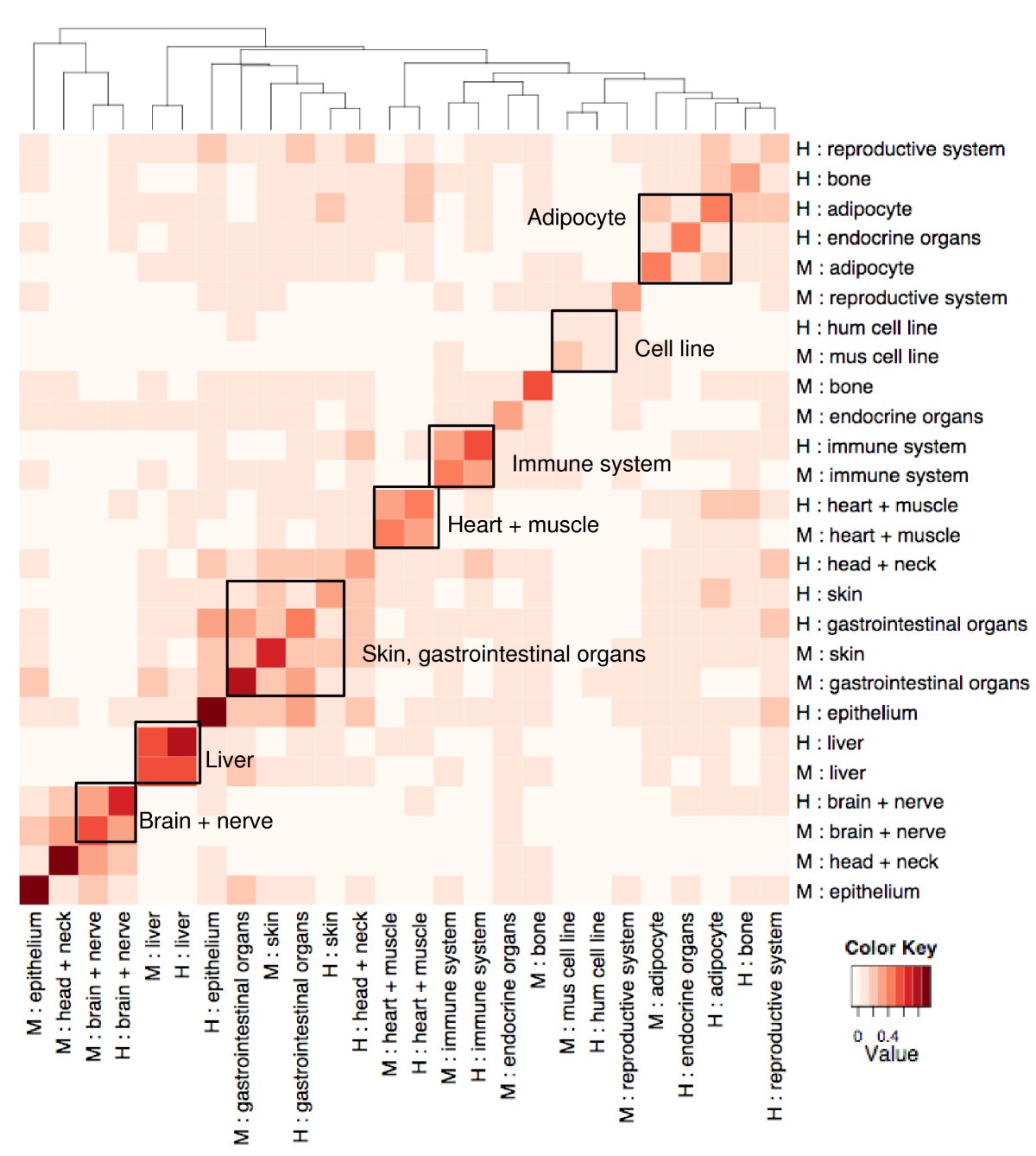 Large Scale Comparison Of Global Gene Expression Patterns In Human And