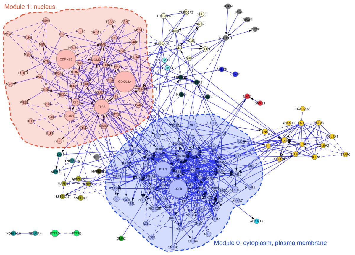 A human functional protein interaction network and its application to ...