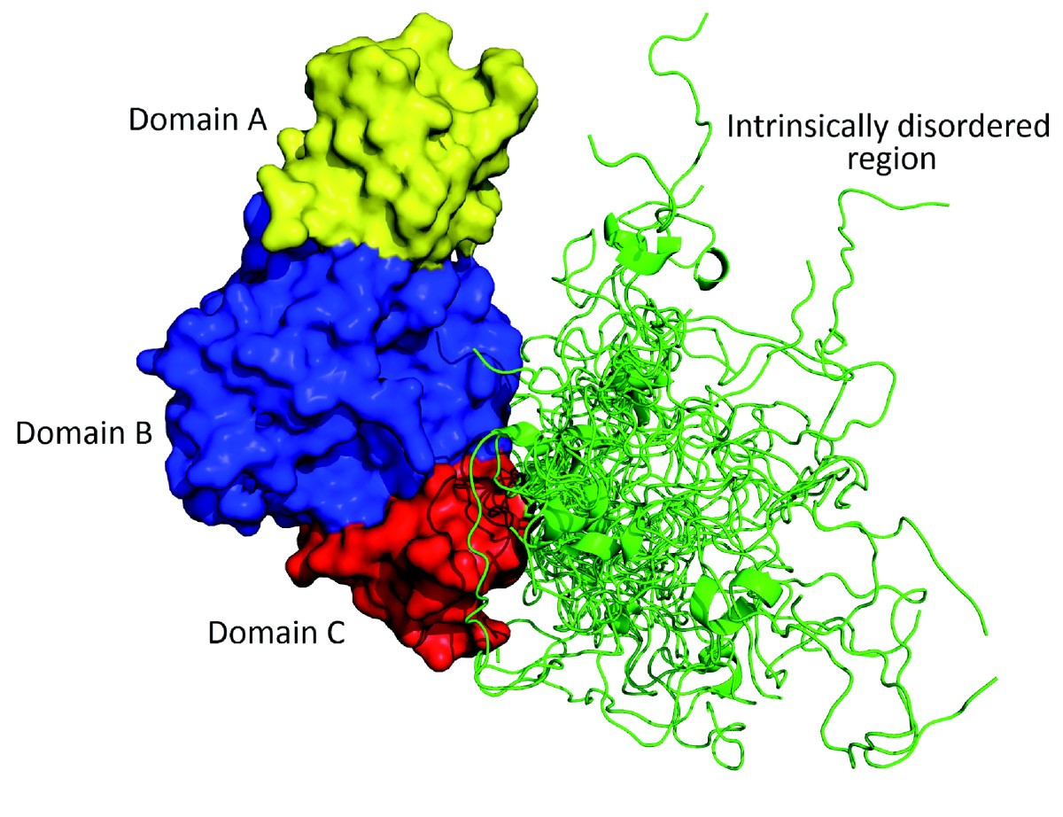 How Do Proteins Gain New Domains Genome Biology Full Text