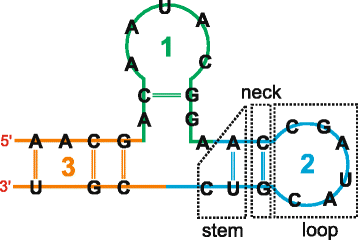 MultiSETTER: web server for multiple RNA structure comparison | BMC Bioinformatics | Full Text