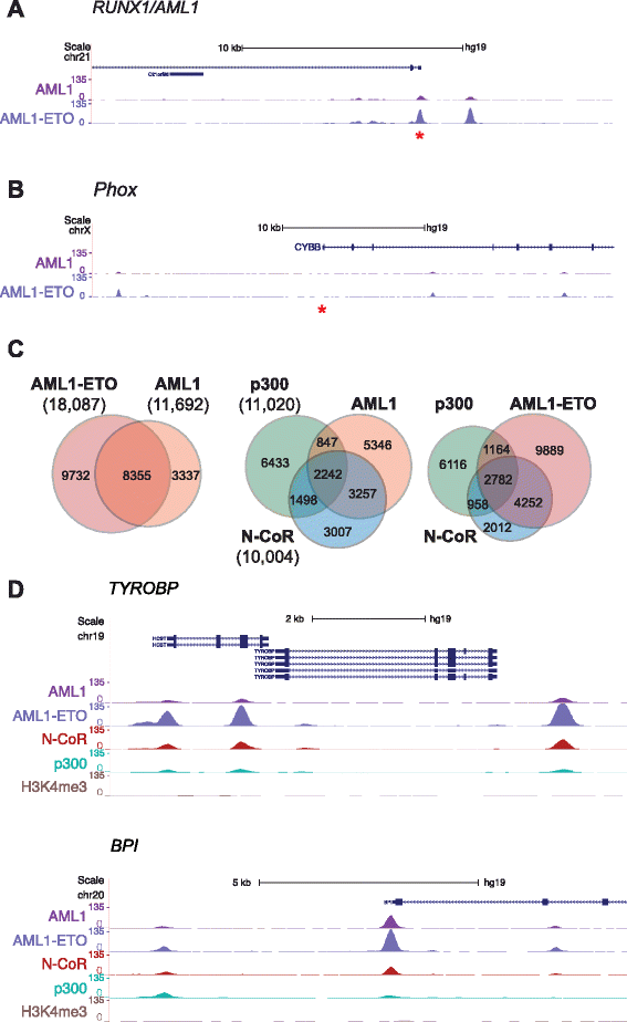 Genome-wide co-occupancy of AML1-ETO and N-CoR defines the t(8;21) AML ...