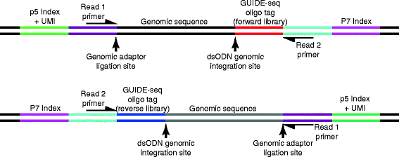 GUIDEseq: a bioconductor package to analyze GUIDE-Seq datasets for ...