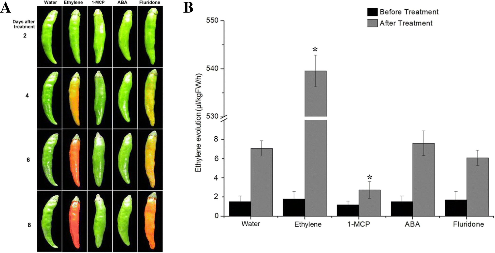 Characterization of the hot pepper (Capsicum frutescens) fruit ripening ...