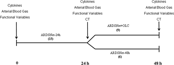 Effects of the open lung concept following ARDSnet ventilation in ...