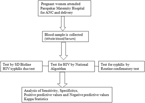 Evaluation of SD Bioline HIV/syphilis Duo rapid test kits in Nepal ...