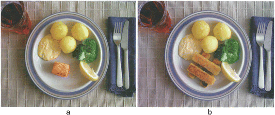 A practical approach to low protein diets in Sweden– 45 years of ...