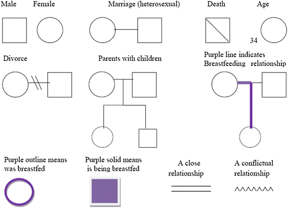 The Infant Feeding Genogram: a tool for exploring family infant feeding ...