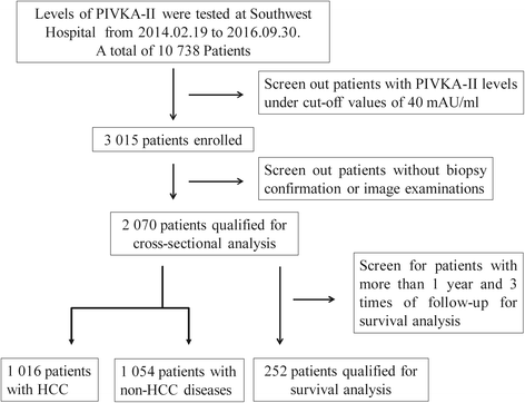 Effectiveness of PIVKA-II in the detection of hepatocellular carcinoma based on real-world ...