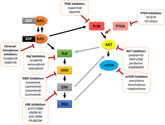 Elevated serum RAS p21 is an independent prognostic factor in metastatic breast cancer | BMC ...