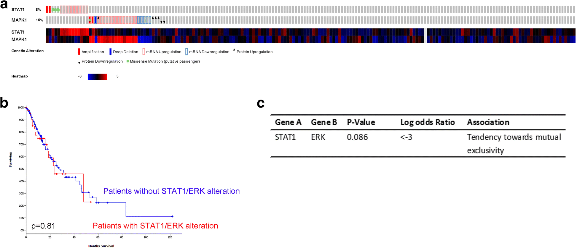 ERK is a negative feedback regulator for IFN-γ/STAT1 signaling by ...