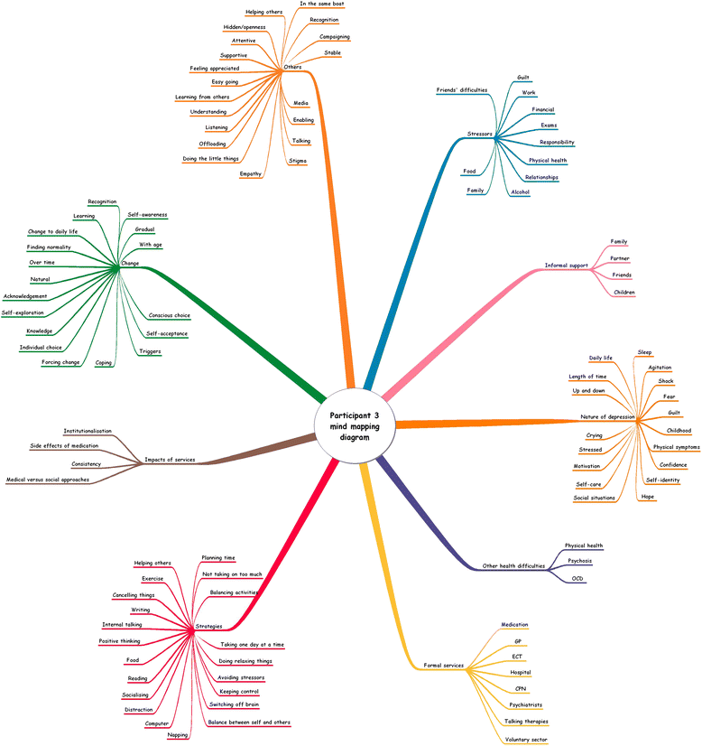 The self-management of longer-term depression: learning from the ...