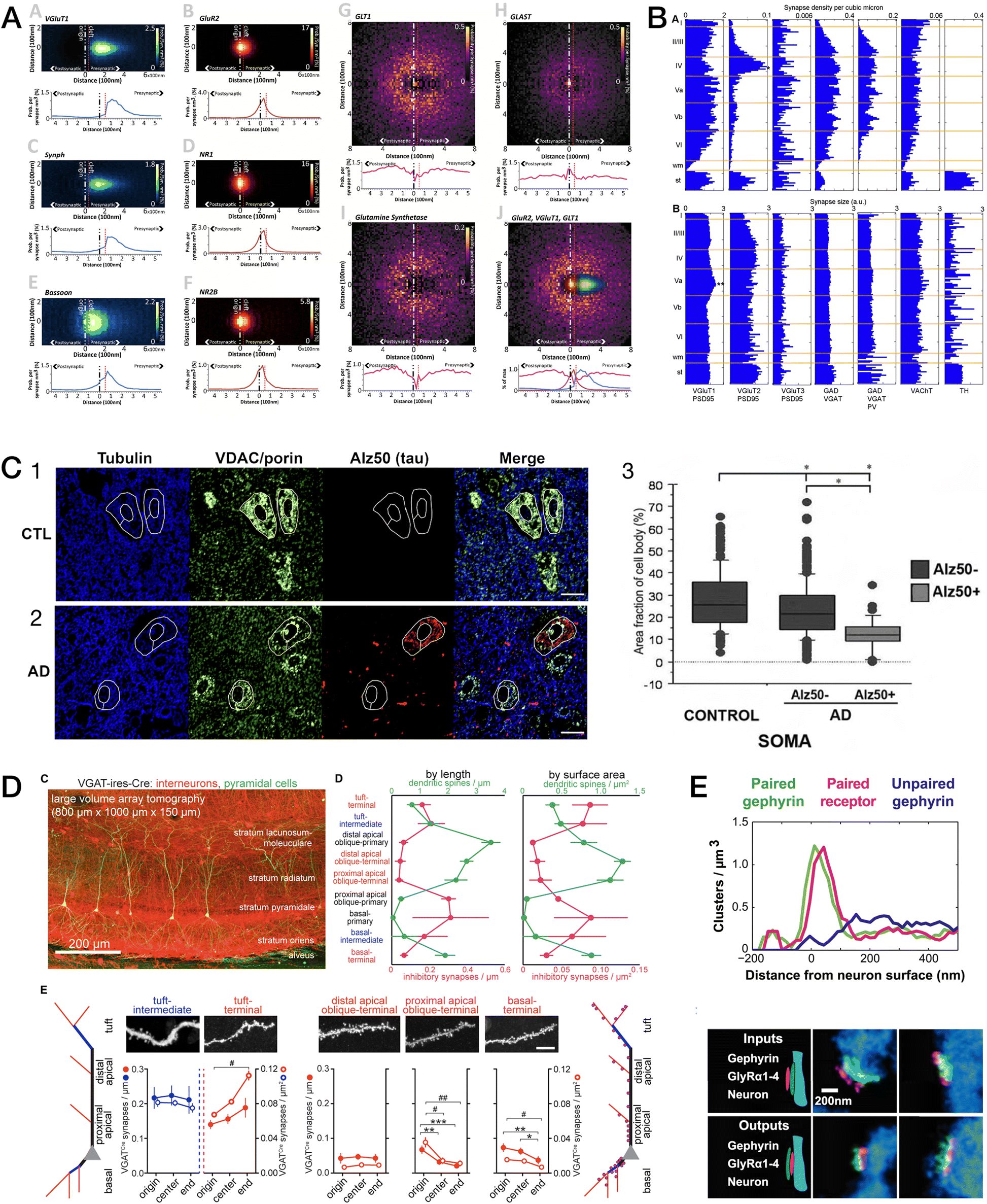 Q&A: Array tomography | BMC Biology | Full Text