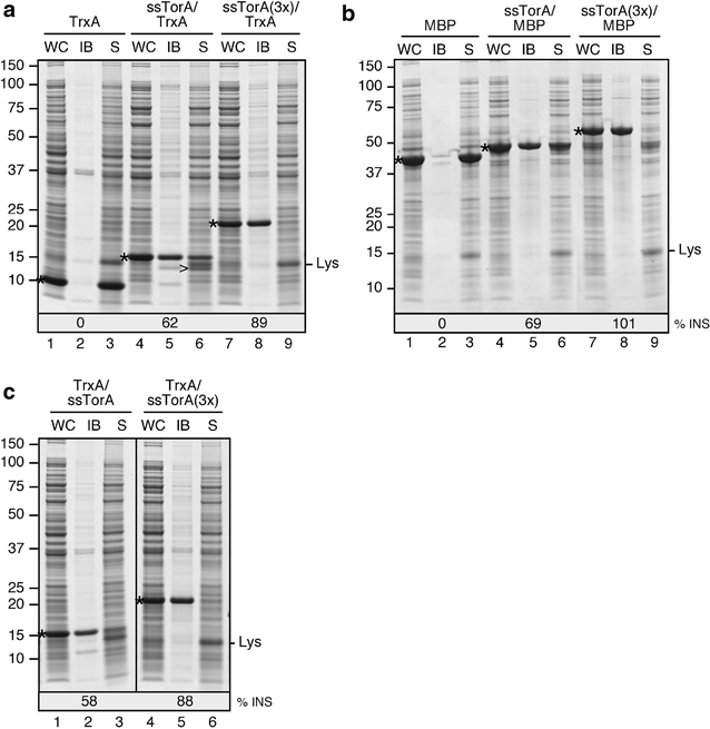 Application of an E. coli signal sequence as a versatile inclusion body ...