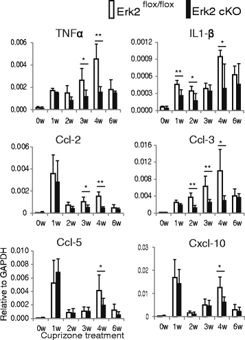 The crucial role of Erk2 in demyelinating inflammation in the central nervous system | Journal ...