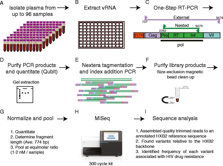 Cross-clade simultaneous HIV drug resistance genotyping for reverse ...