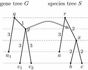 Isometric gene tree reconciliation revisited | Algorithms for Molecular ...