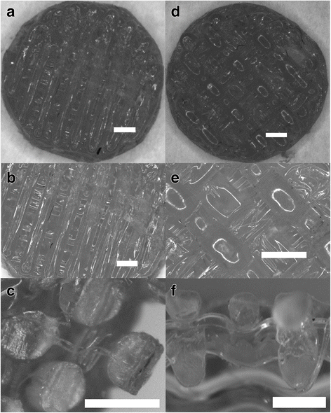 Designing of PLA scaffolds for bone tissue replacement fabricated by ...