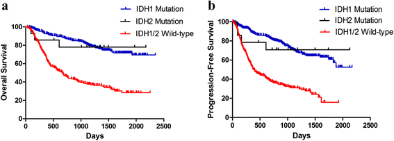 The comparison of clinical and biological characteristics between IDH1 and IDH2 mutations in ...