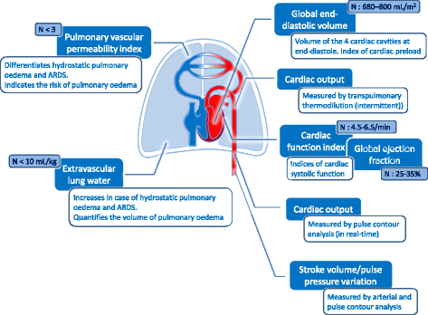 Transpulmonary thermodilution: advantages and limits | Critical Care ...
