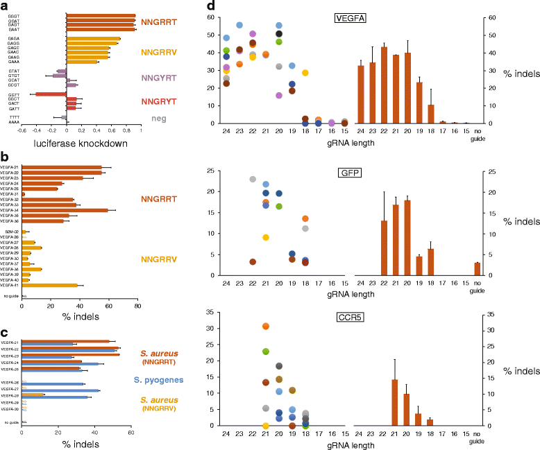 Characterization of Staphylococcus aureus Cas9: a smaller Cas9 for all ...