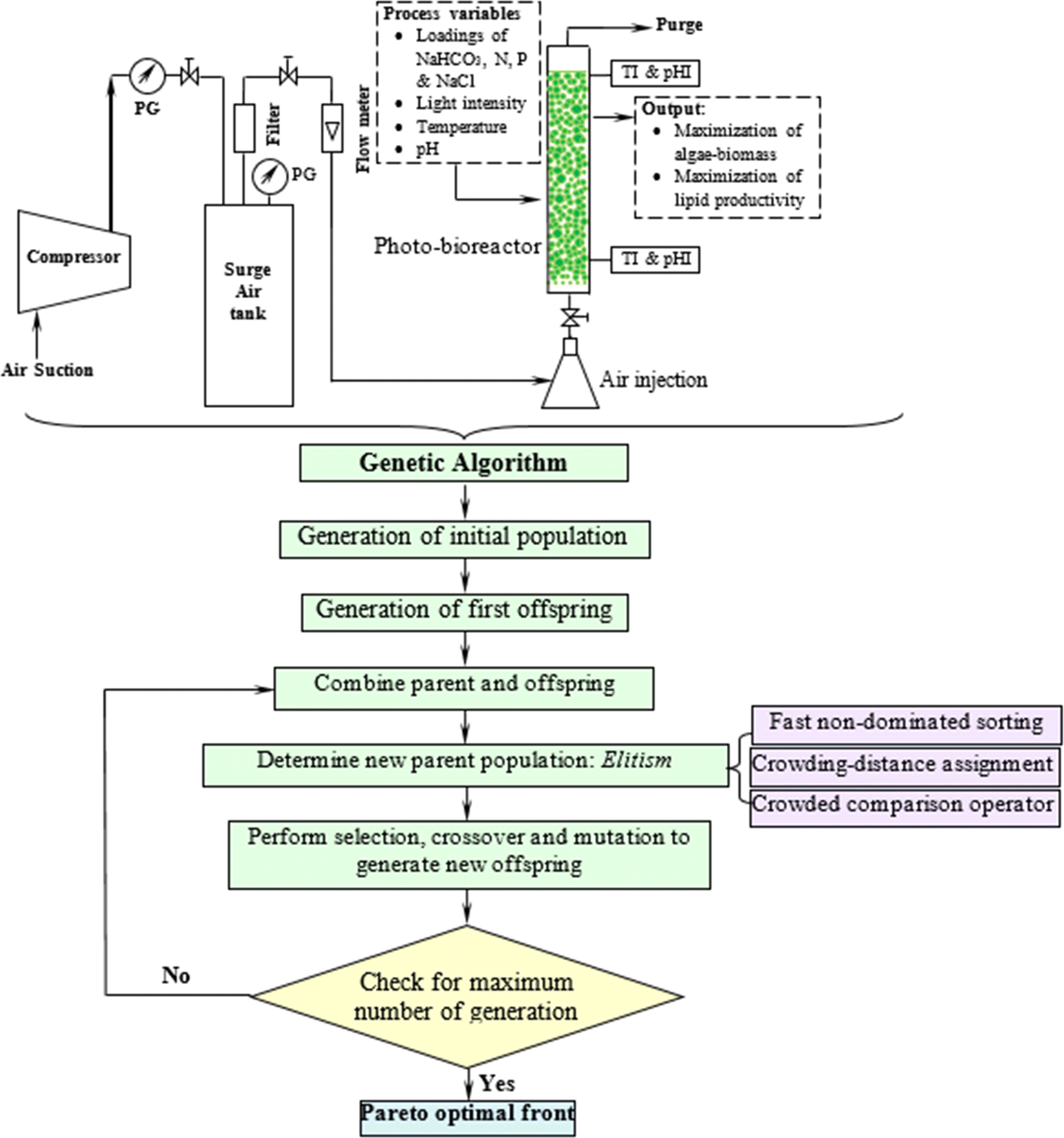 Recent developments in synthetic biology and metabolic engineering in ...