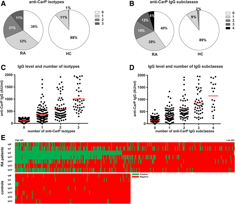 The isotype and IgG subclass distribution of anti-carbamylated protein ...