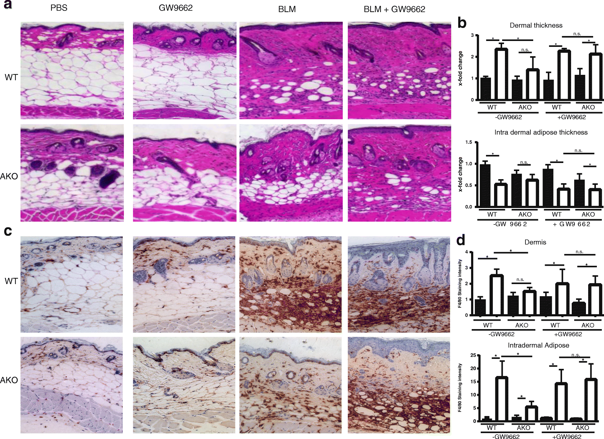 Adipocyte-specific Repression of PPAR-gamma by NCoR Contributes to ...