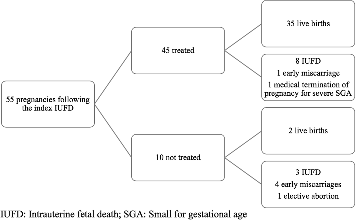 Intrauterine fetal deaths related to antiphospholipid syndrome: a ...