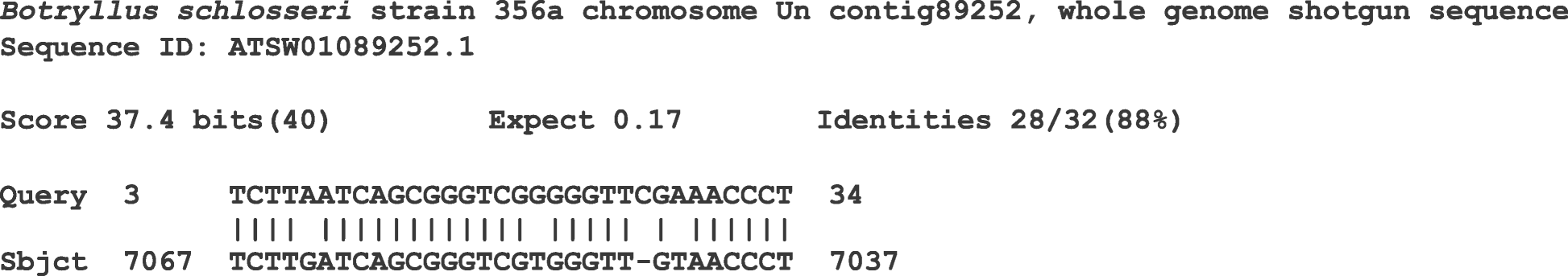 Features of a novel protein, rusticalin, from the ascidian Styela ...