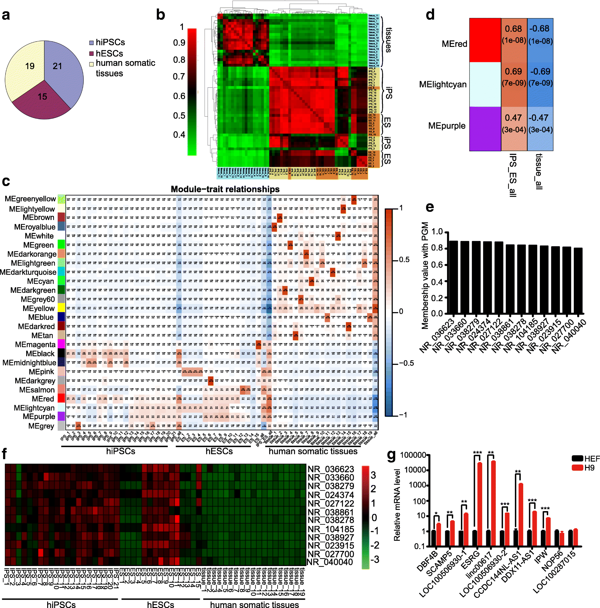 Long Noncoding Rna Ccdc144nl As1 Knockdown Induces Naïve Like State