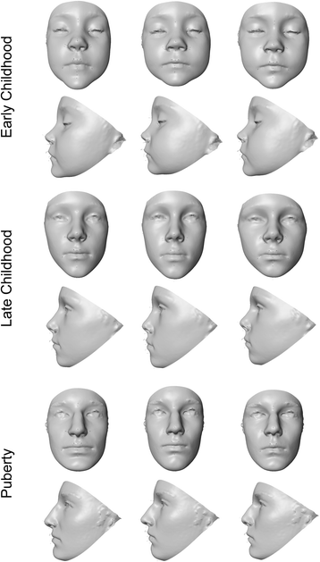Using the 3D Facial Norms Database to investigate craniofacial sexual ...
