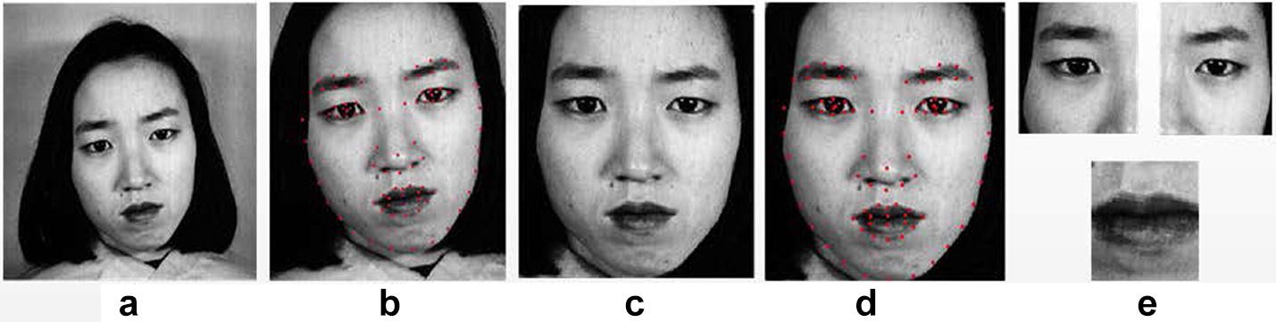 Facial expression recognition using optimized active regions | Human ...