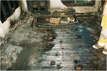 Use of damage in fire investigation: a review of fire patterns analysis ...