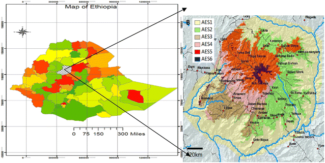 Spatial variations of household food insecurity in East Gojjam Zone ...