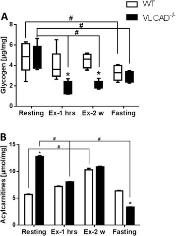 Renal response to short- and long-term exercise in very-long-chain acyl ...