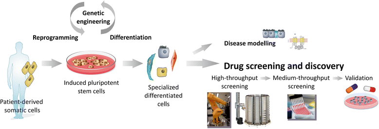 Pluripotent stem cells for disease modeling and drug screening: new ...