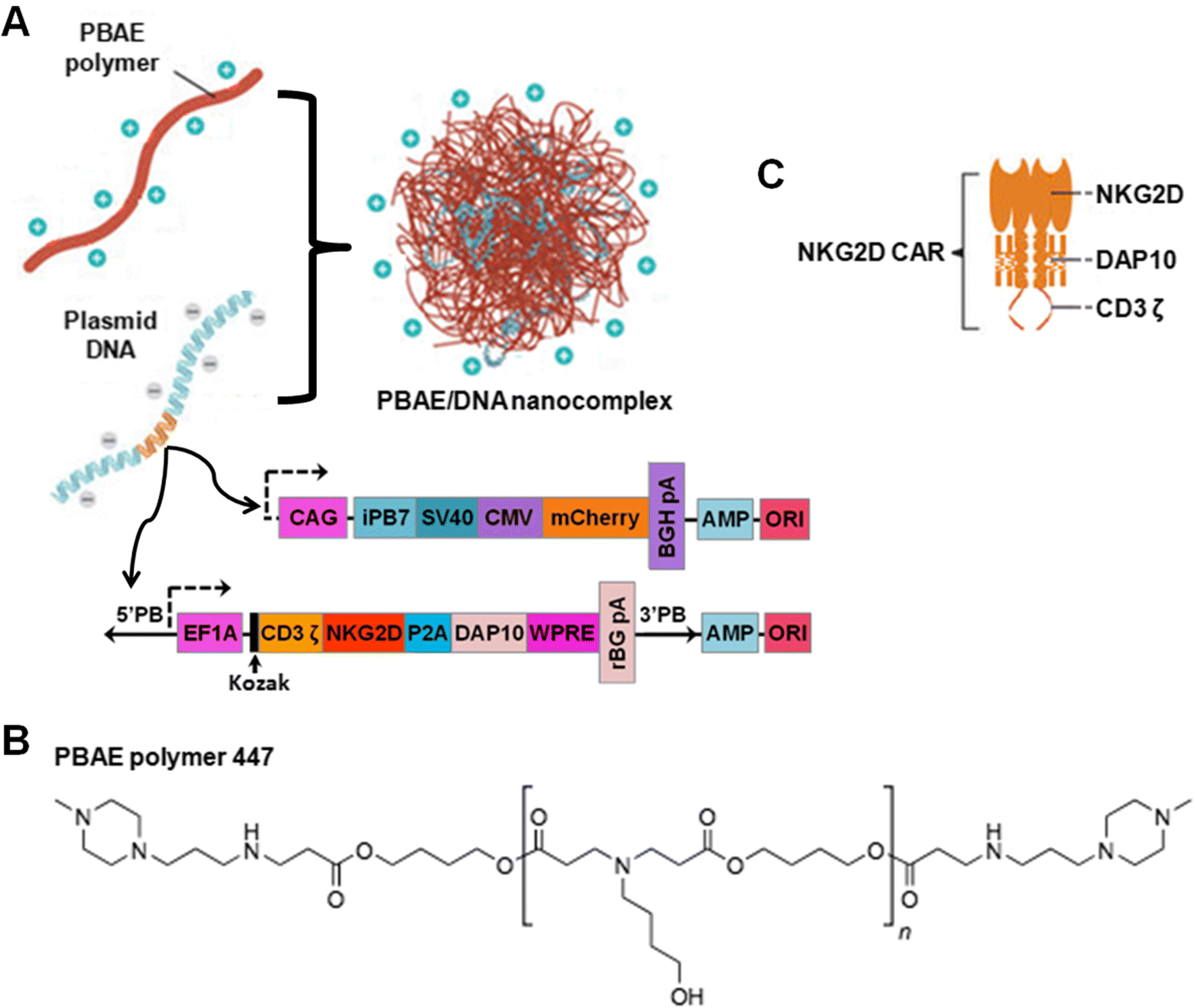 Purinergic targeting enhances immunotherapy of CD73+ solid tumors with ...