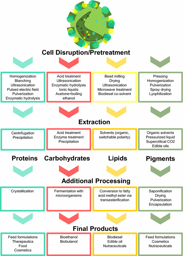 Green microalgae biomolecule separations and recovery | Bioresources and Bioprocessing | Full Text