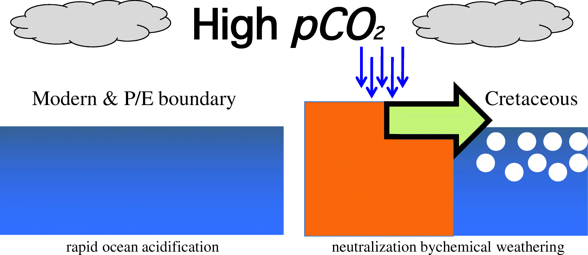 Perspective on the response of marine calcifiers to global warming and ...