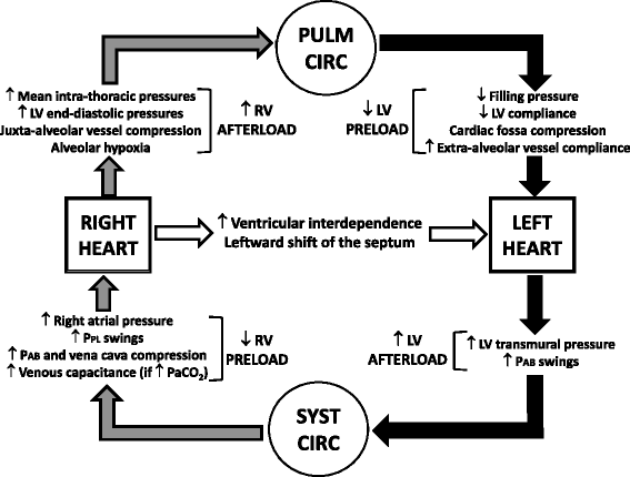 Lung hyperinflation in COPD: applying physiology to clinical practice ...