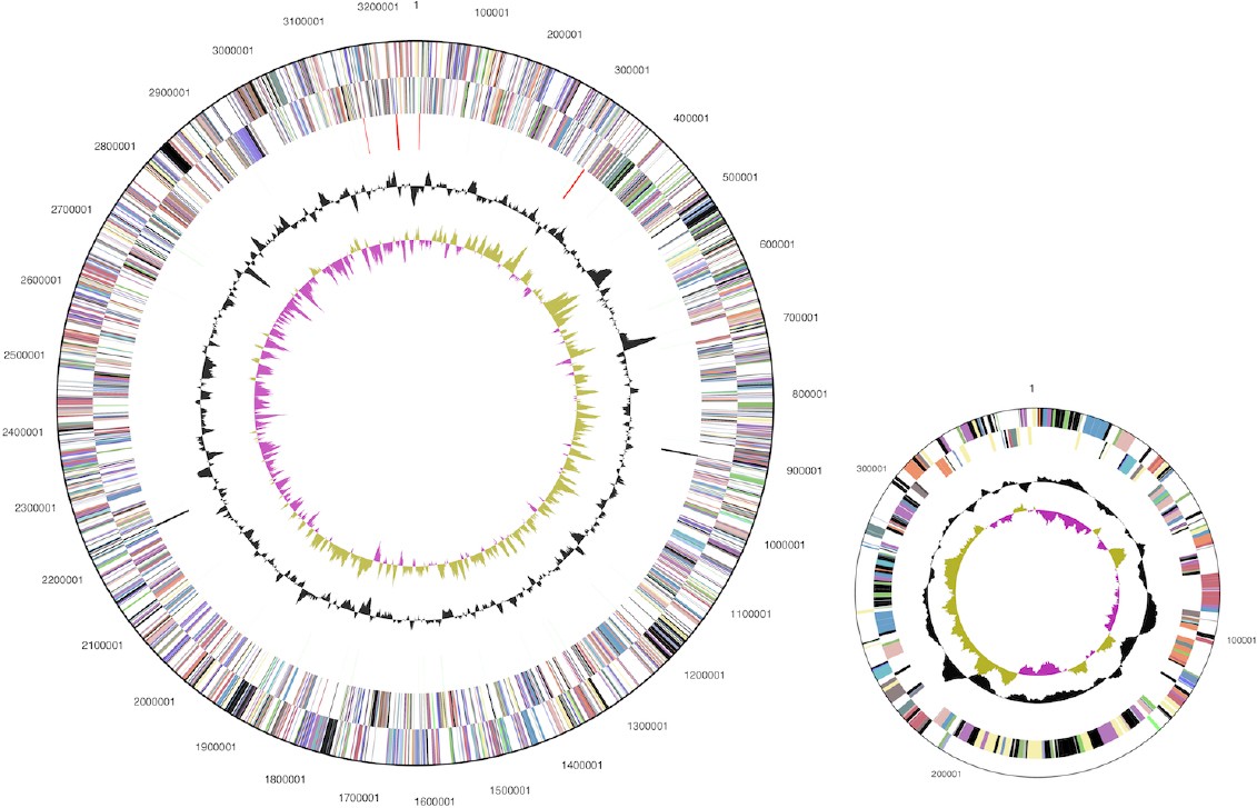 Complete genome sequence of Meiothermus silvanus type strain (VI-R2T ...