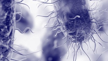Pruritus | Viele häufig genutzte Medikamente mit Juckreiz assoziiert ...