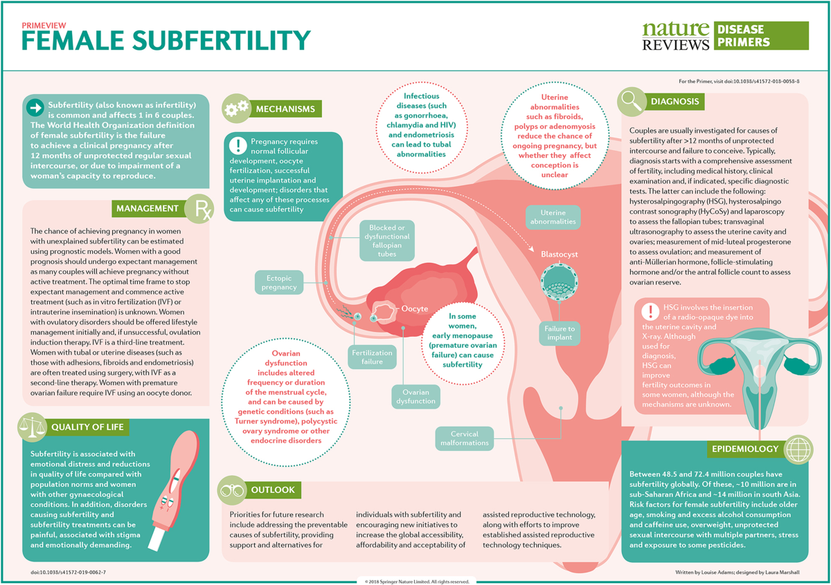 Female subfertility | Nature Reviews Disease Primers