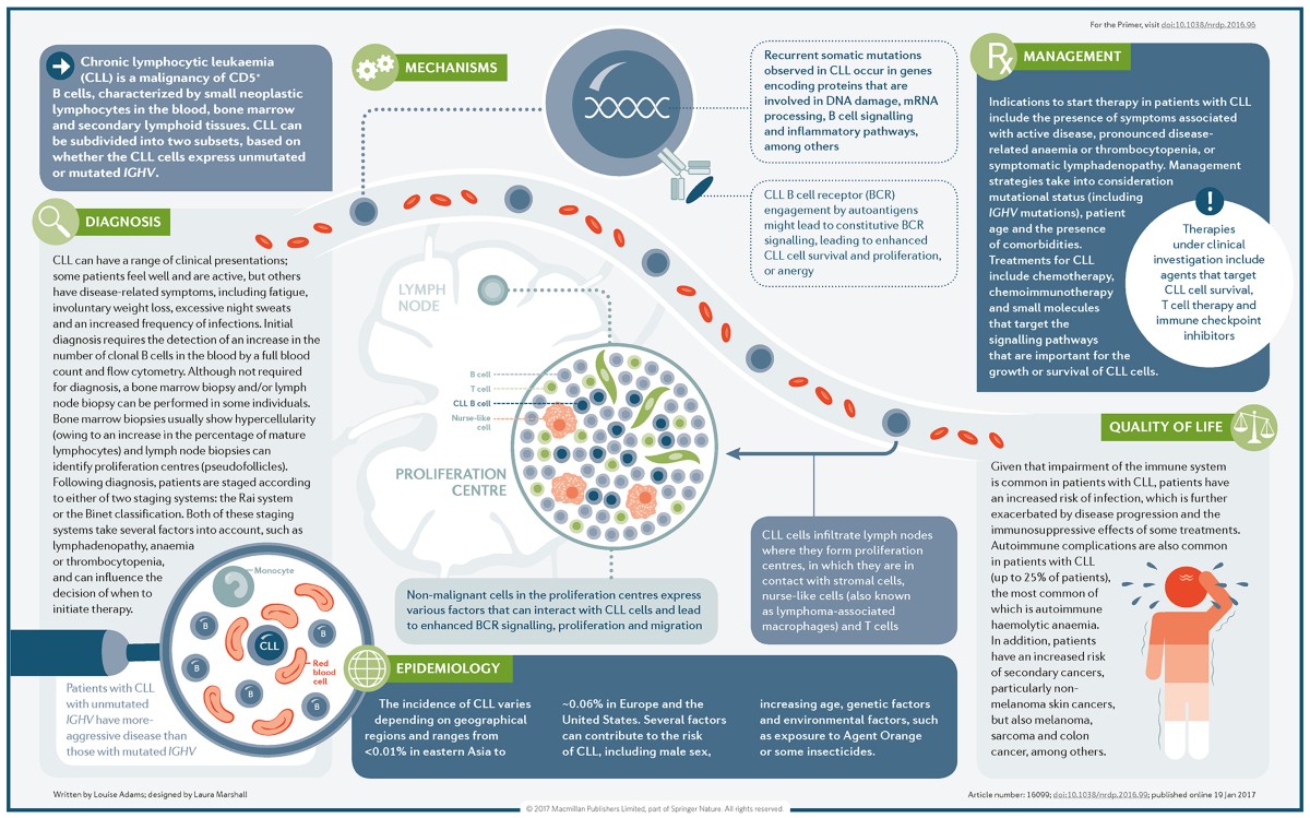 Chronic lymphocytic leukaemia | Nature Reviews Disease Primers